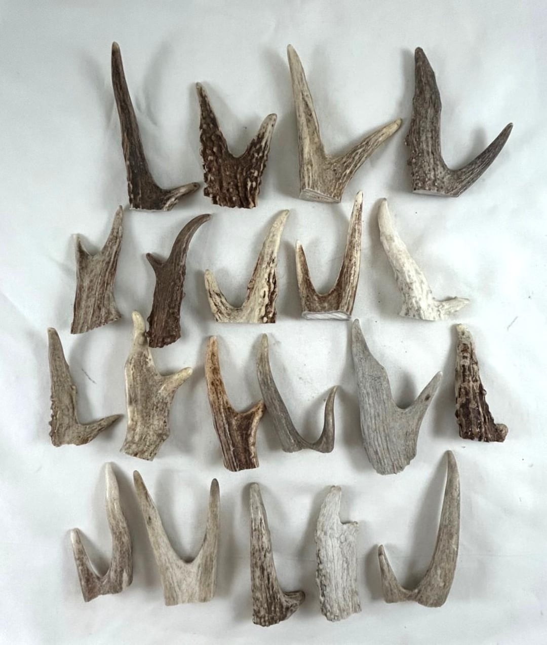 Twenty (20) Double 3"-3 1/2" Deer & Elk Antler Tine Tips for Arts ...