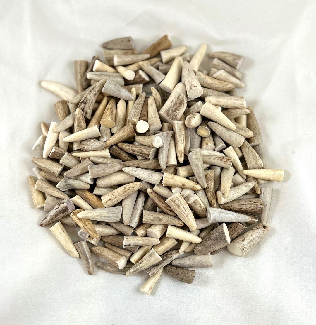Two Hundred 200 1 Whitetail Deer Antler Tine Tips for Arts, Crafts or ...