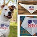 4th of July Dog Bandana, Merica Dog Bandana, Fourth of July Dog ...