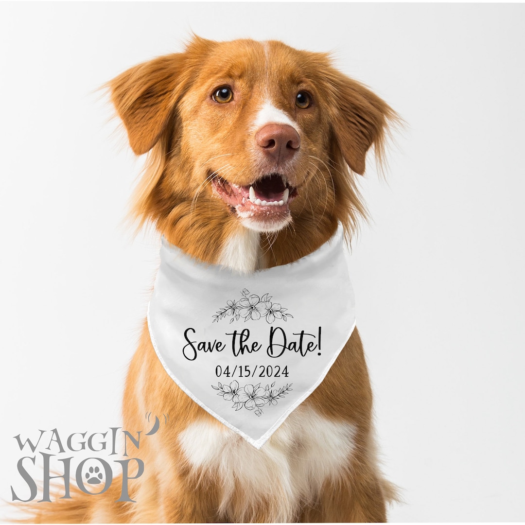 Save the Date Dog Bandana, Wedding Announcement Dog Bandana, Wedding Bandana, Engagement Dog ...