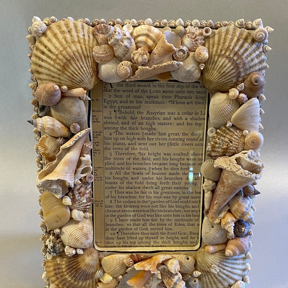ByDesignShellArt - Etsy