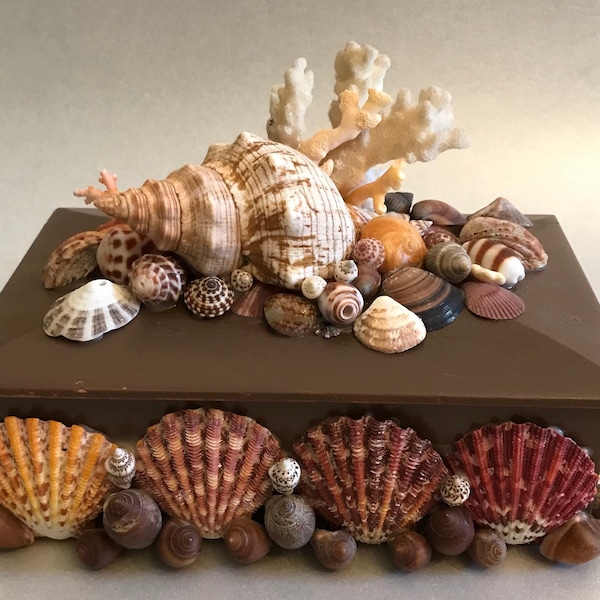 Handmade Shell Box Encrusted Seashell Box Hand Picked Shells Beach ...