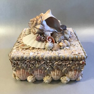 Handmade Seashell Box Encrusted Treasure Box Beach Decor Tropical Ocean ...