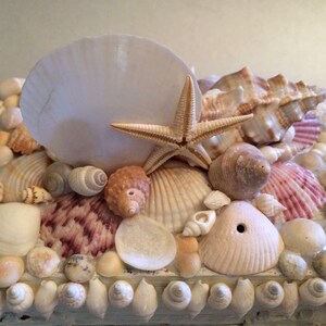 Handmade Seashell Box, Shell Treasure Box - Etsy