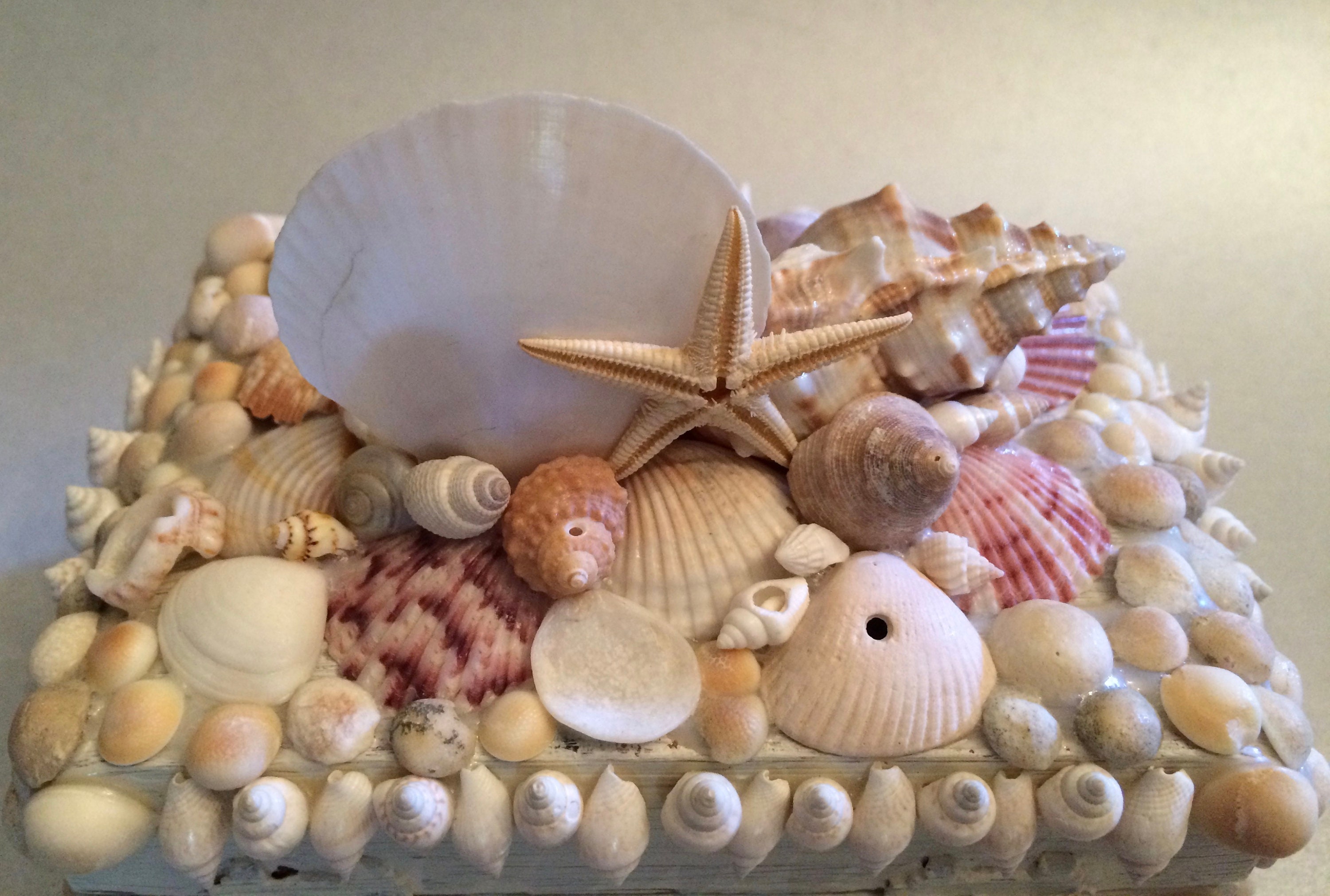 Handmade Seashell Box Shell Treasure Box - Etsy