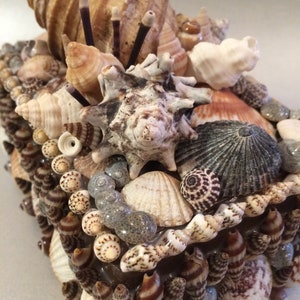Handmade Shell Box Encrusted Seashell Box Hand Picked Shells Beach ...
