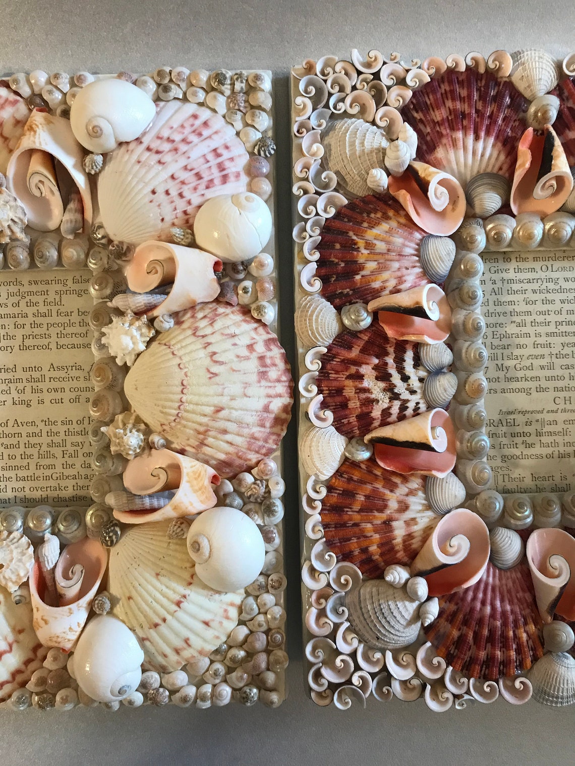 Handmade Shell Frame One of a Kind Seashell Frame | Etsy