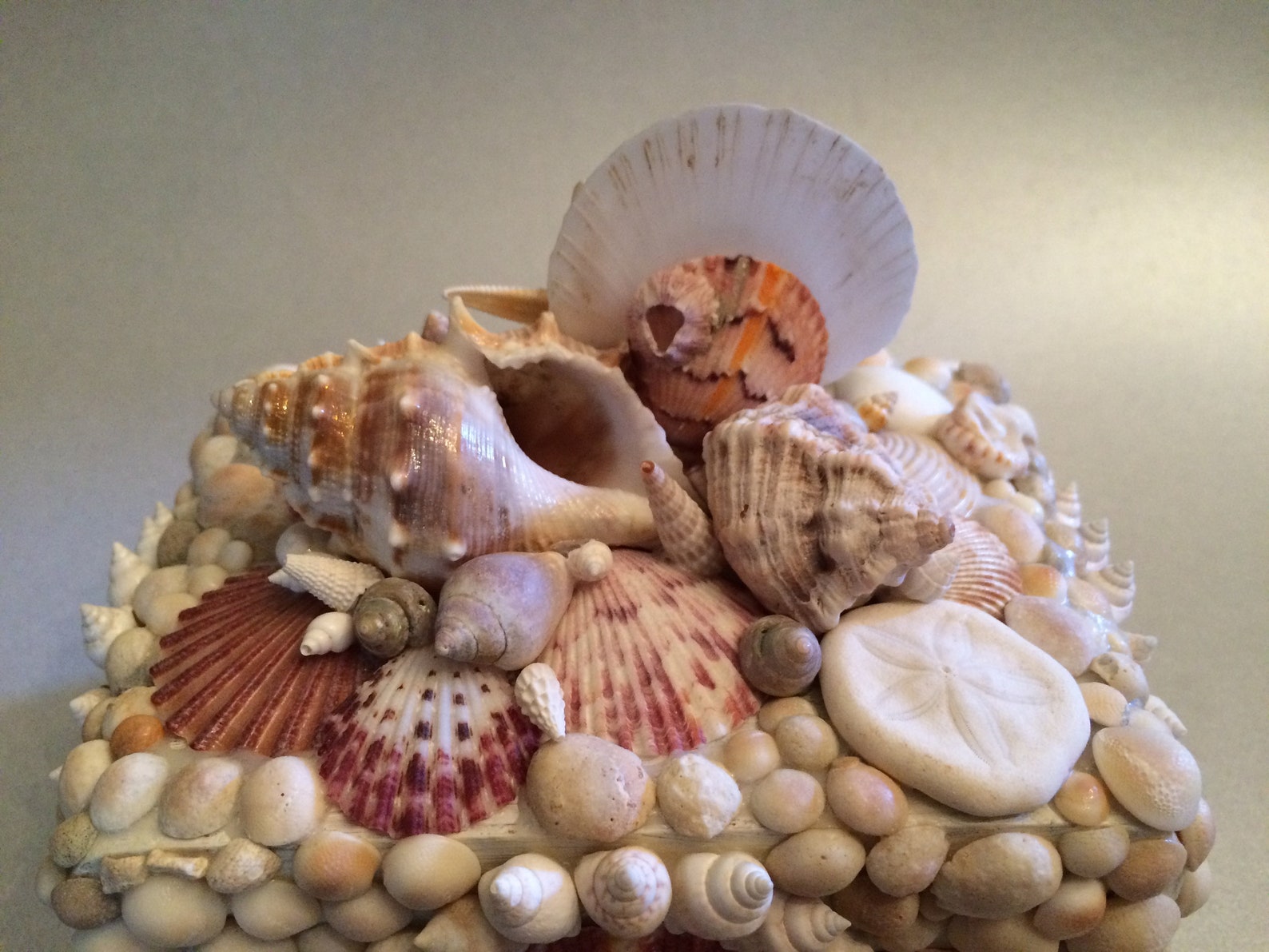 Handmade Seashell Box, Shell Treasure Box - Etsy