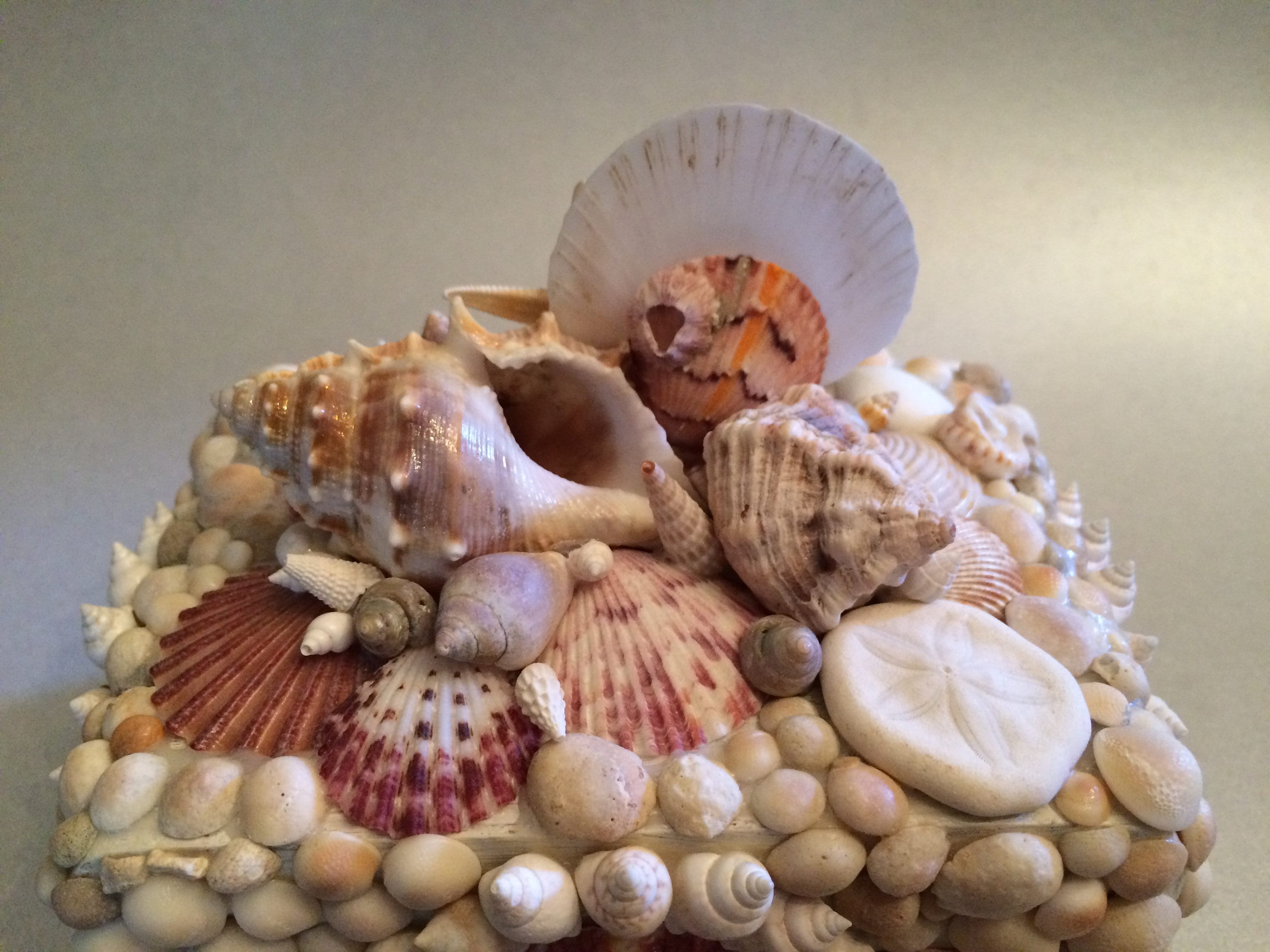 Handmade Seashell Box, Shell Treasure Box - Etsy