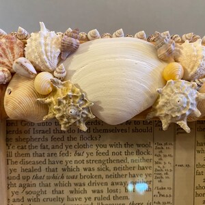 Handmade Shell Photo Frame, Encrusted Seashell Frame, One of a Kind ...
