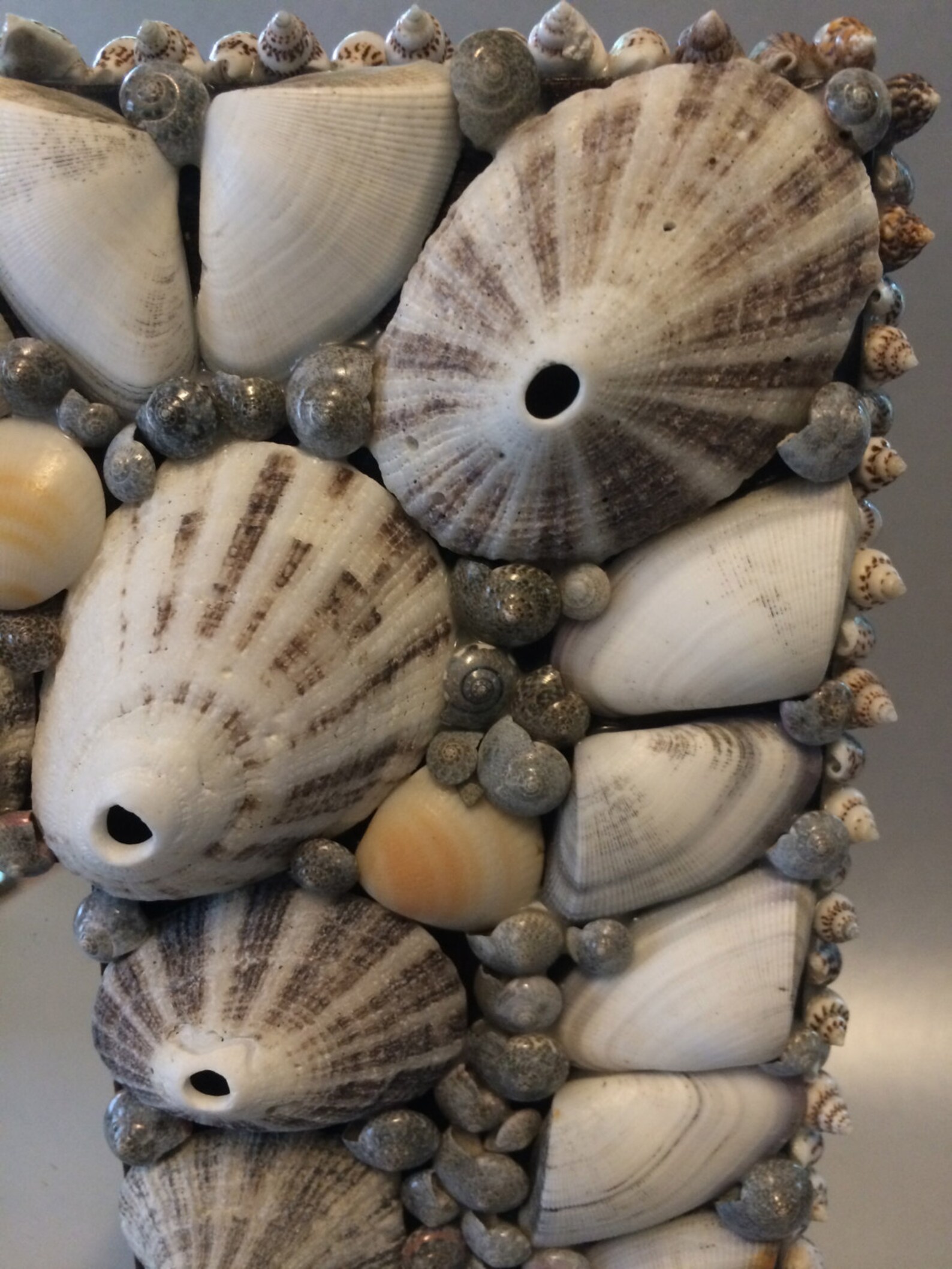 Shell Mirror Decorative Seashell Mirror Handmade Shell | Etsy