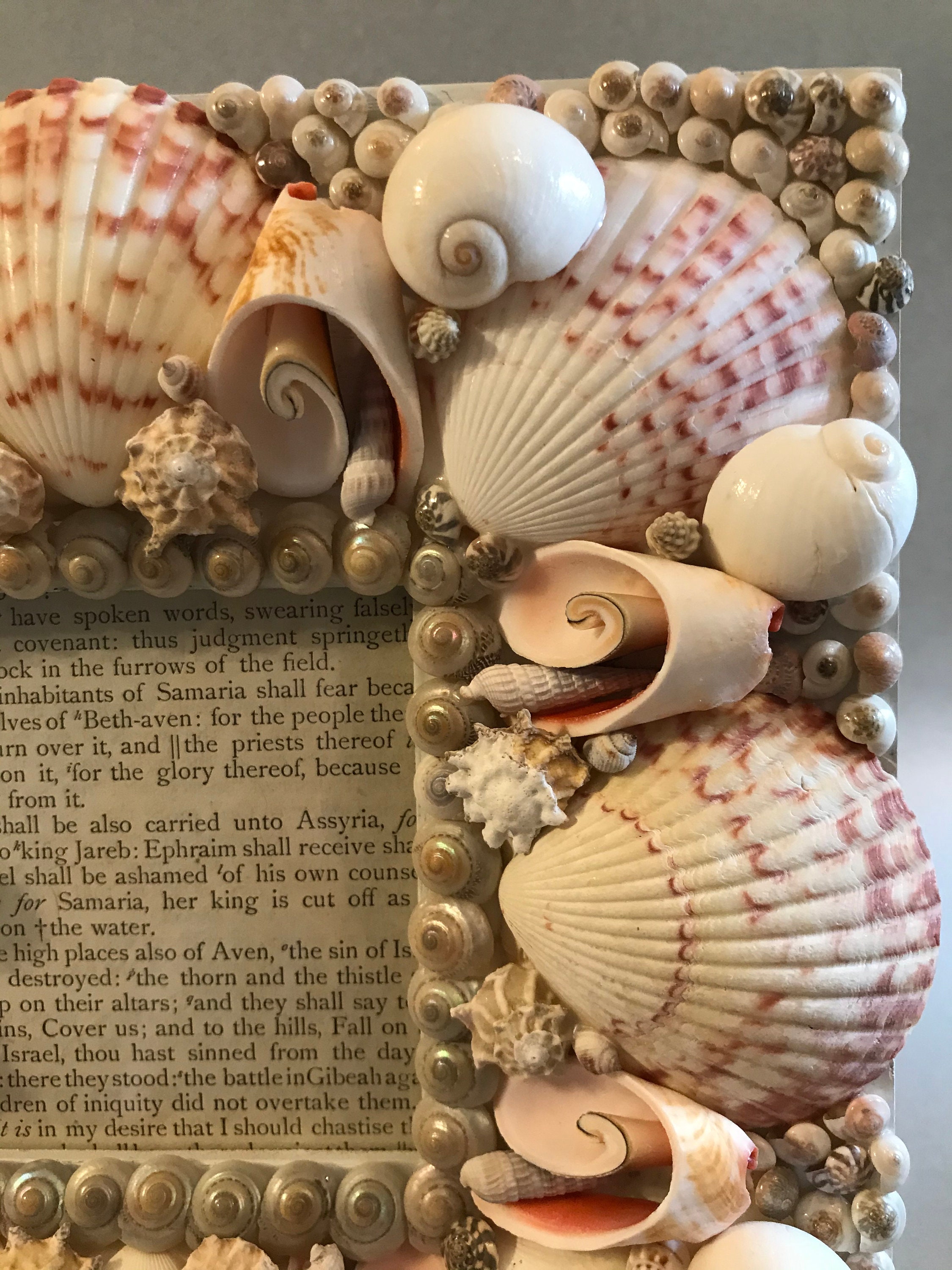 Handmade Shell Frame One of a Kind Seashell Frame | Etsy