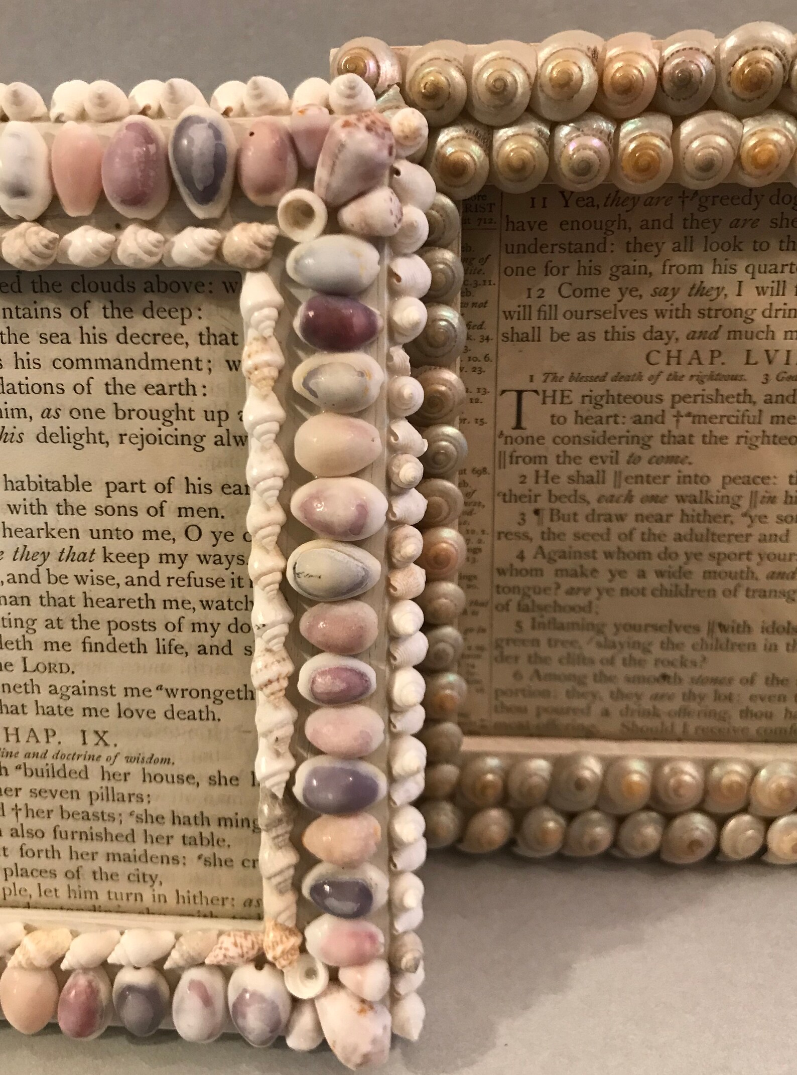 Handmade Shell Frame, Seashell Picture Frame, Sea Shell Photo Frame - Etsy