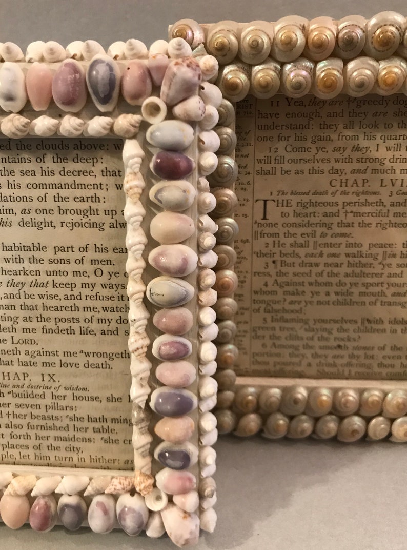 Handmade Shell Frame, Seashell Picture Frame, Sea Shell Photo Frame - Etsy