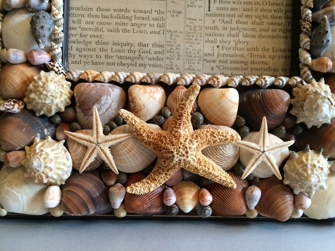 Handmade Seashell Picture Frame Shell Photo Frame Embellished | Etsy