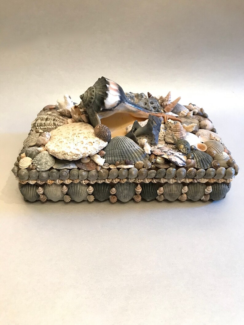 Handmade Shell Box, One of a Kind Seashell Box, Ornate Sea Shell Box - Etsy