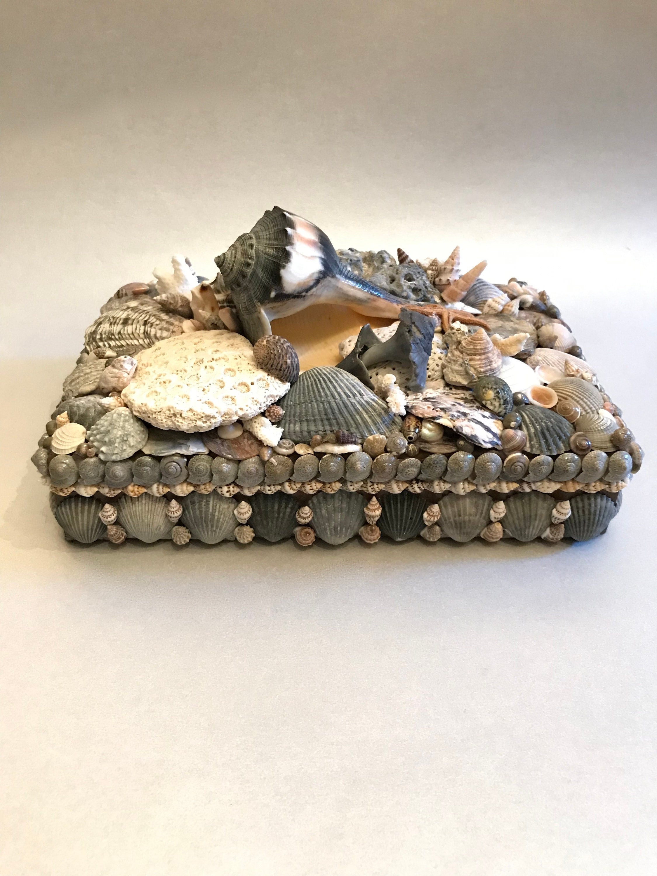 Handmade Shell Box, One of a Kind Seashell Box, Ornate Sea Shell Box - Etsy
