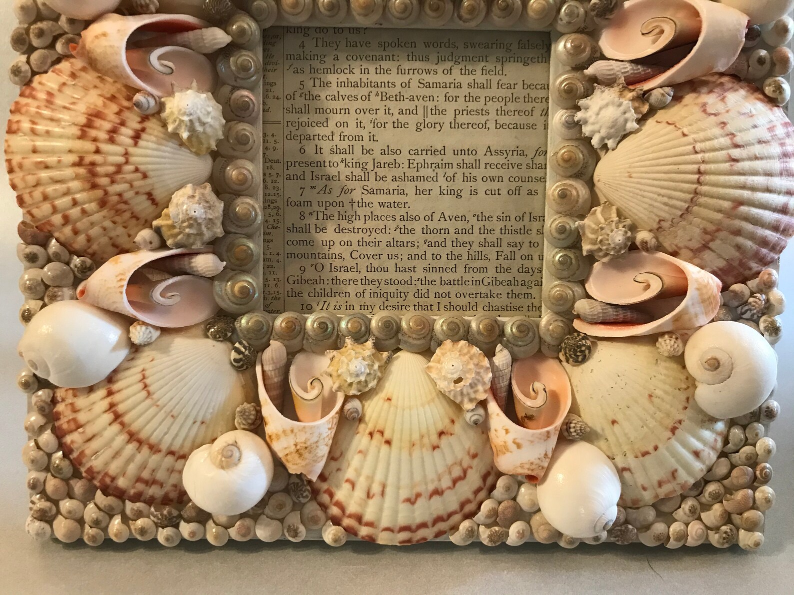 Handmade Shell Frame One of a Kind Seashell Frame | Etsy