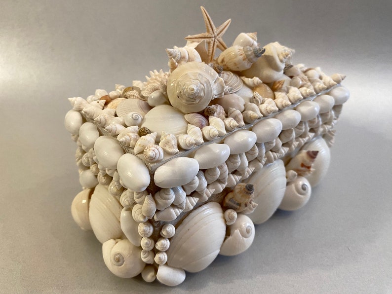 Handmade Shell Box, Embellished Seashell Box, Treasure Box, One of a ...