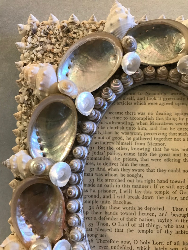 Handmade Shell Frame One of a Kind Seashell Picture Frame - Etsy