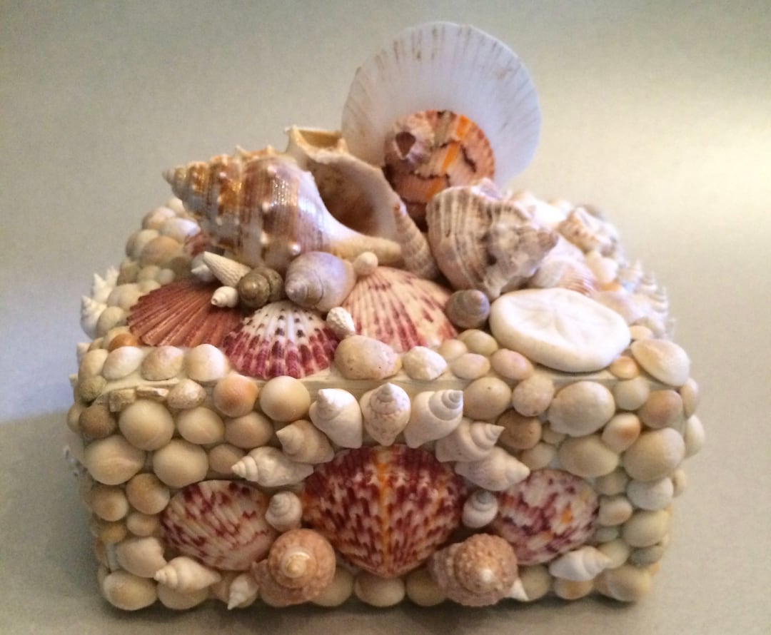 Handmade Seashell Box, Shell Treasure Box - Etsy