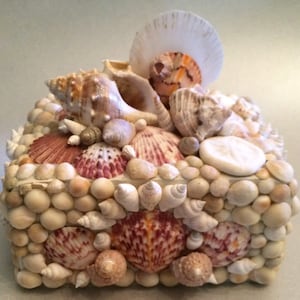 Handmade Seashell Box, Shell Treasure Box - Etsy