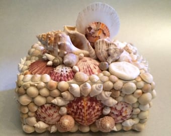 One of a Kind Shell Box, Ornate Seashell Box, Handmade Shell Treasure ...
