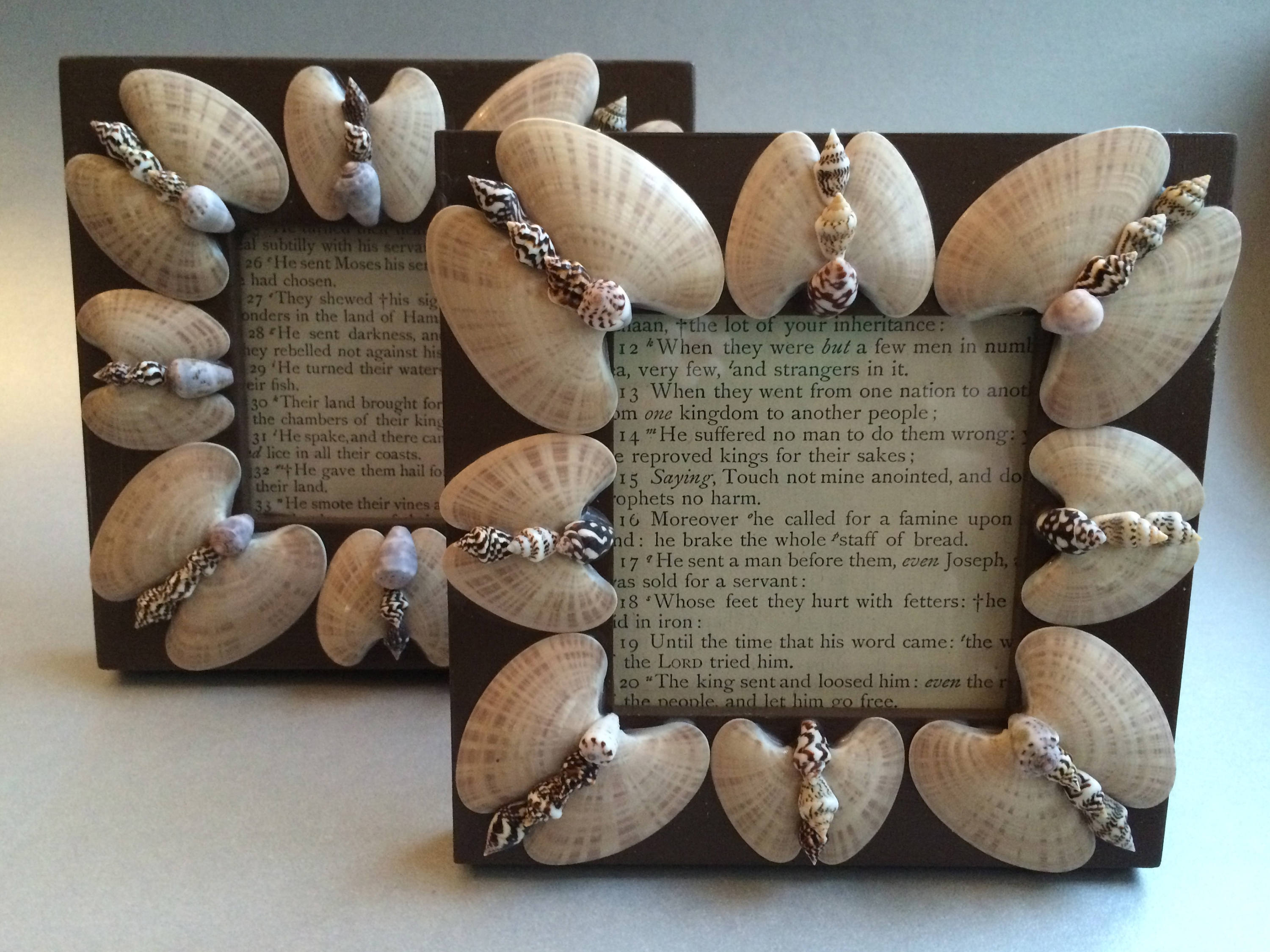 Handmade Seashell Picture Frame Shell Photo Frame Seashells - Etsy