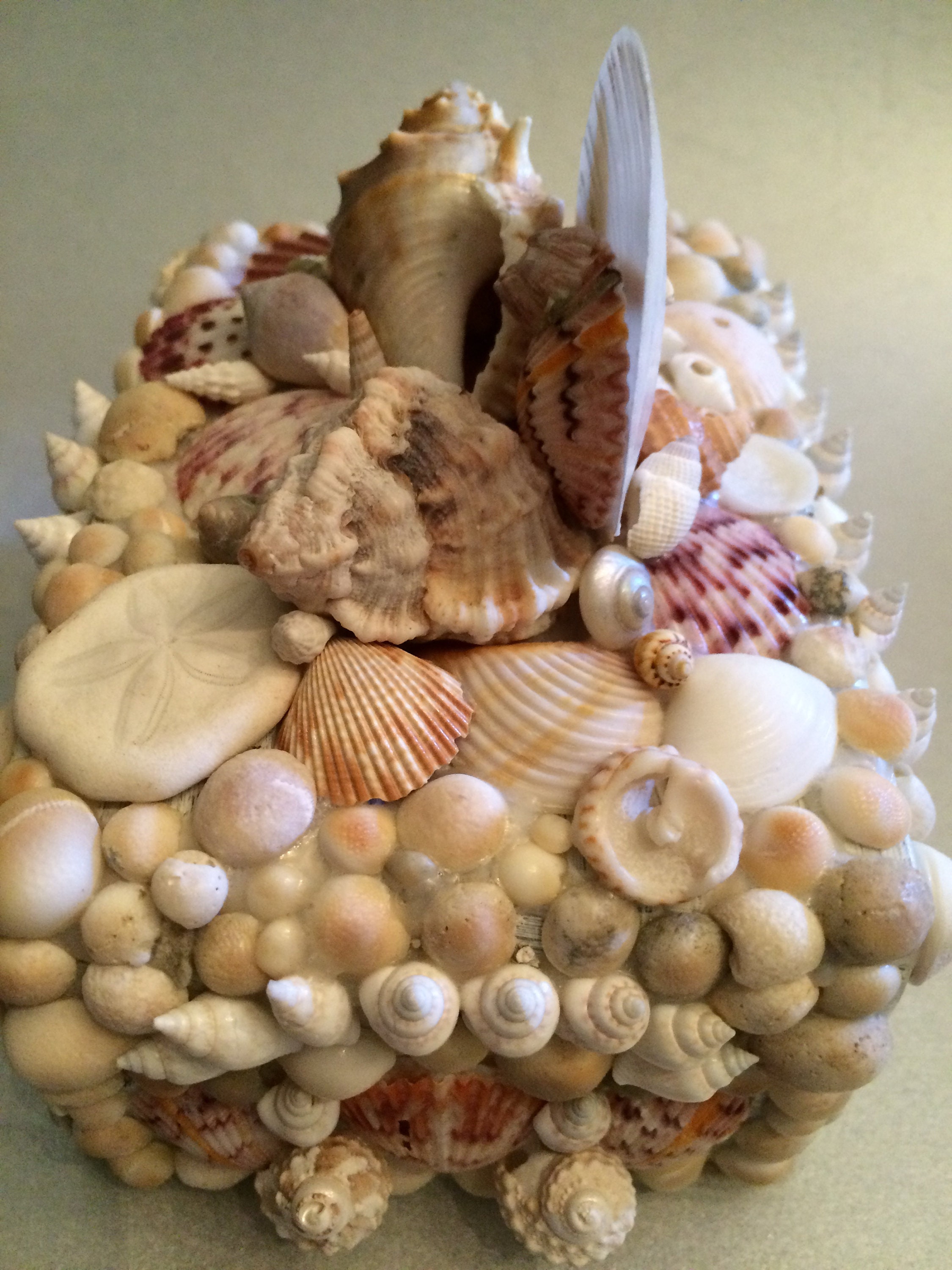 Handmade Seashell Box Shell Treasure Box | Etsy