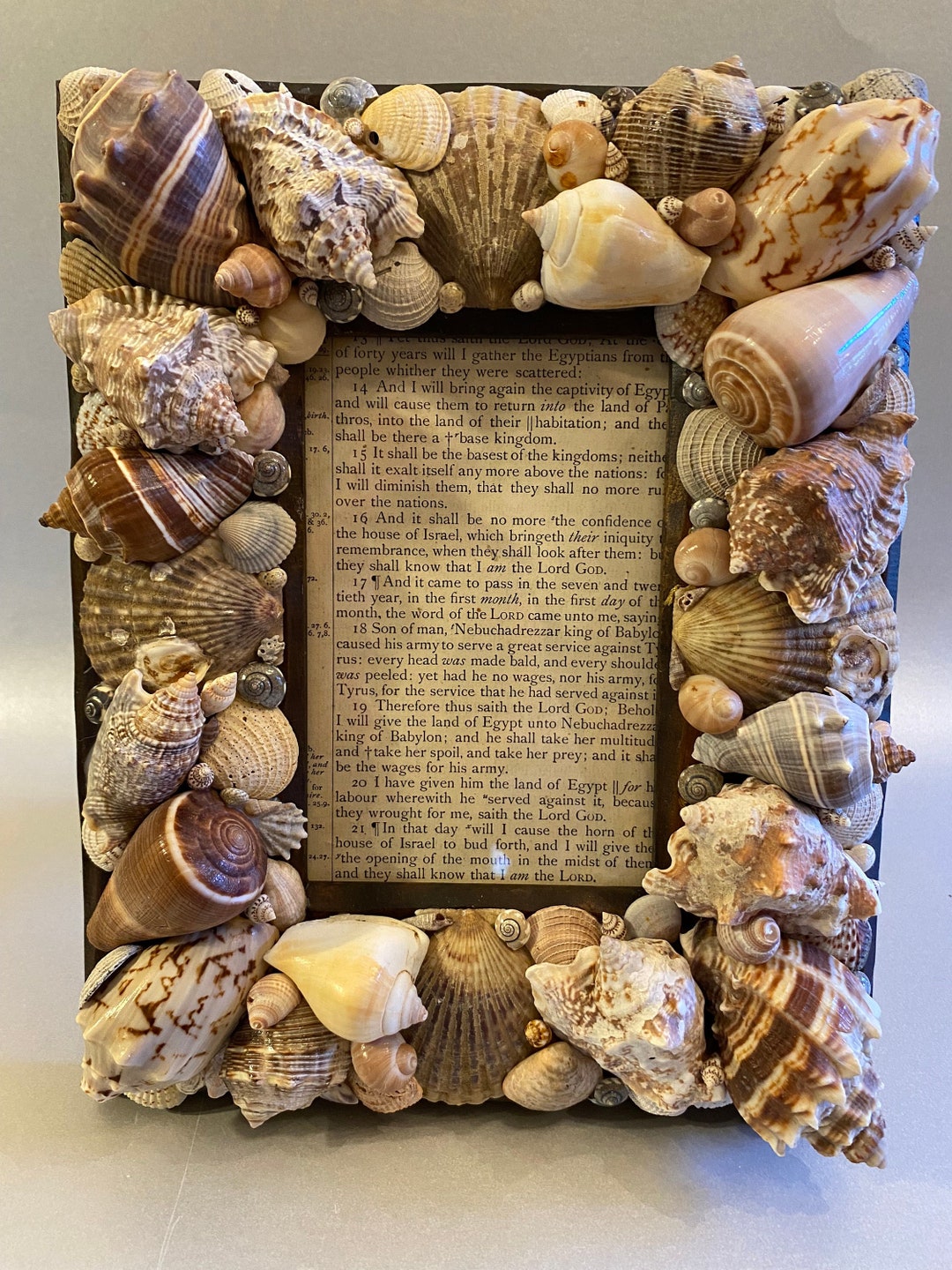 Handmade Seashell Picture Frame With Hand Picked Shells - Etsy