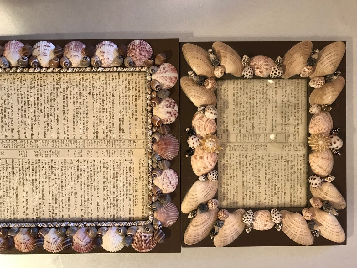 Handmade Shell Frame One of a Kind Seashell Frame Unique Art | Etsy