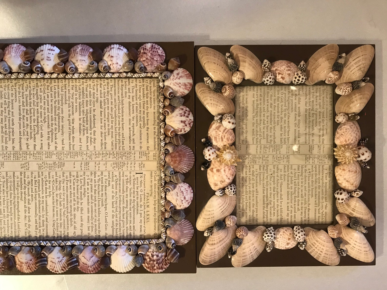 Handmade Shell Frame One of a Kind Seashell Frame Unique Art - Etsy