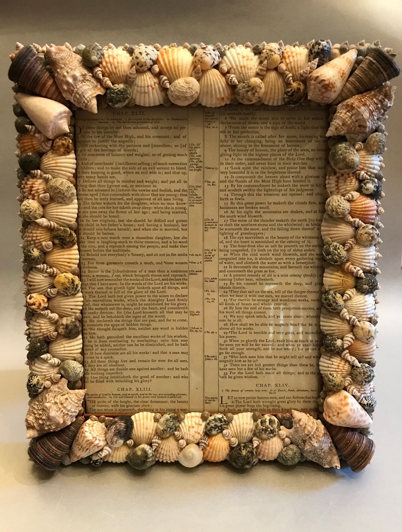 Handmade Shell Frame One of a Kind Seashell Frame Sea Shell - Etsy