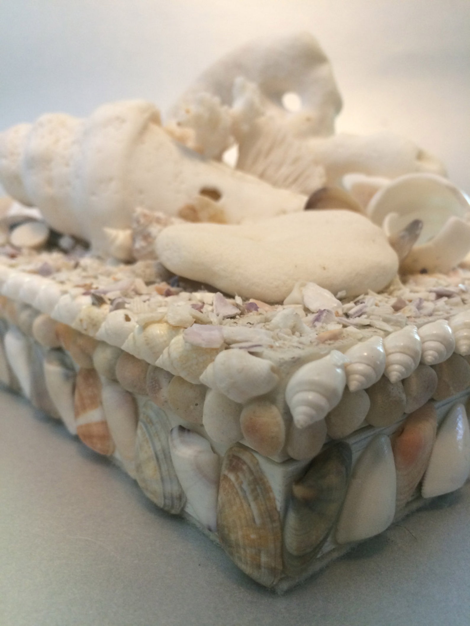 Handmade Shell Box Ornate Encrusted Seashell Box | Etsy