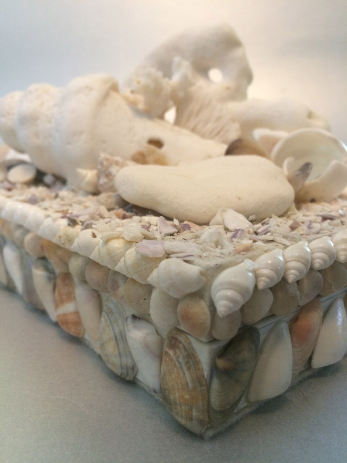 Handmade Shell Box Ornate Encrusted Seashell Box | Etsy