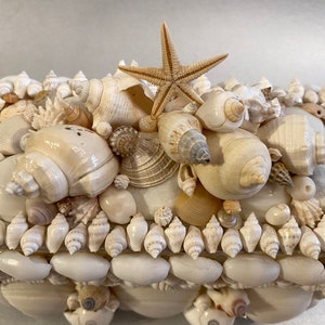 Handmade Shell Box, Embellished Seashell Box, Treasure Box, One of a ...