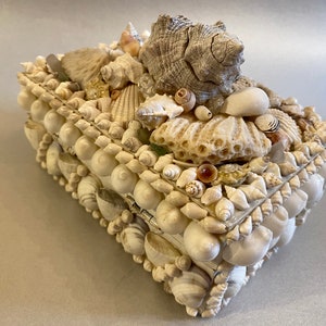 One of a Kind Shell Box, Ornate Seashell Box, Handmade Shell Treasure ...