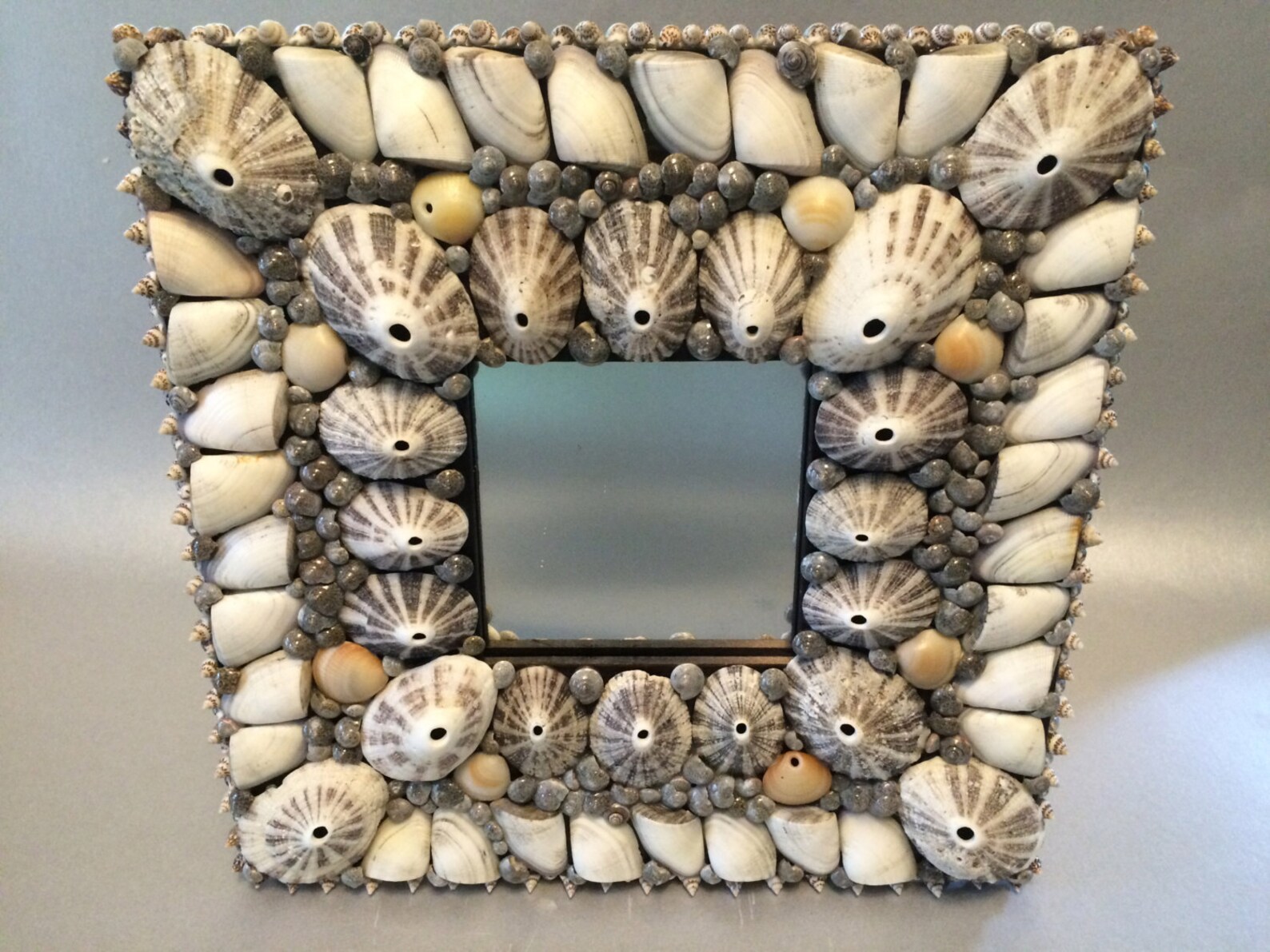 Shell Mirror Decorative Seashell Mirror Handmade Shell | Etsy