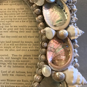 Handmade Shell Frame, One of a Kind Seashell Picture Frame, Pearlescent ...