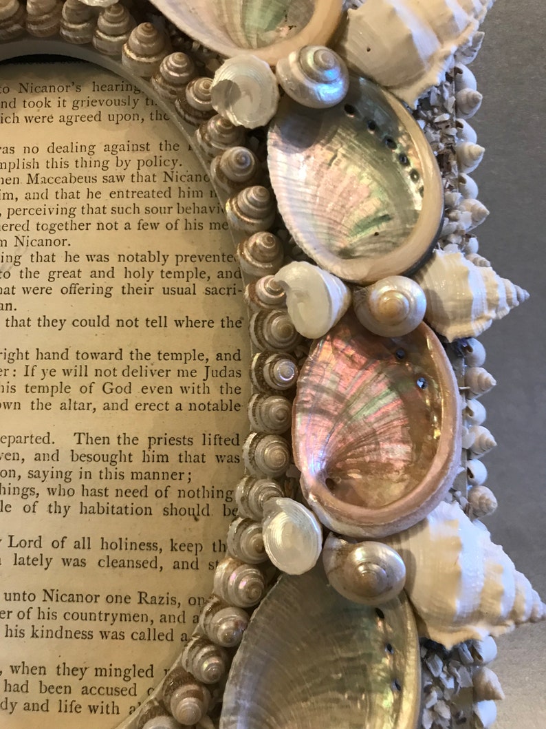 Handmade Shell Frame One of a Kind Seashell Picture Frame - Etsy