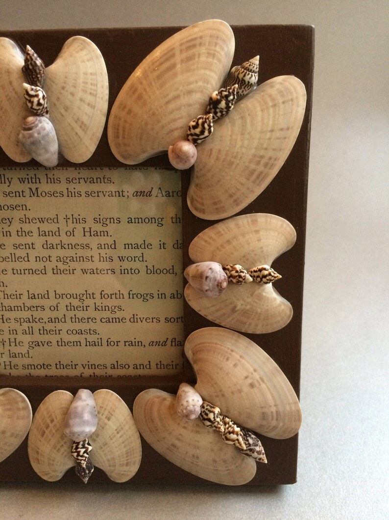 Handmade Seashell Picture Frame Shell Photo Frame Seashells - Etsy
