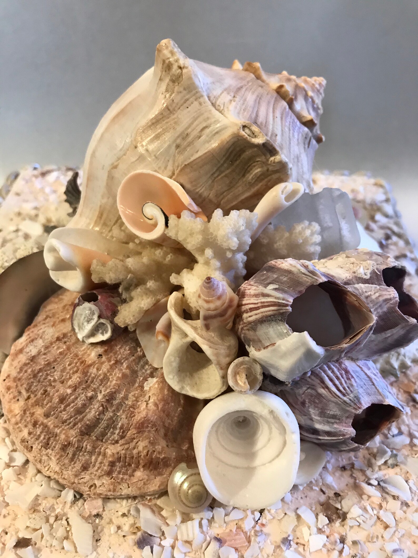 Handmade Seashell Box Encrusted Treasure Box Beach Decor Tropical Ocean ...