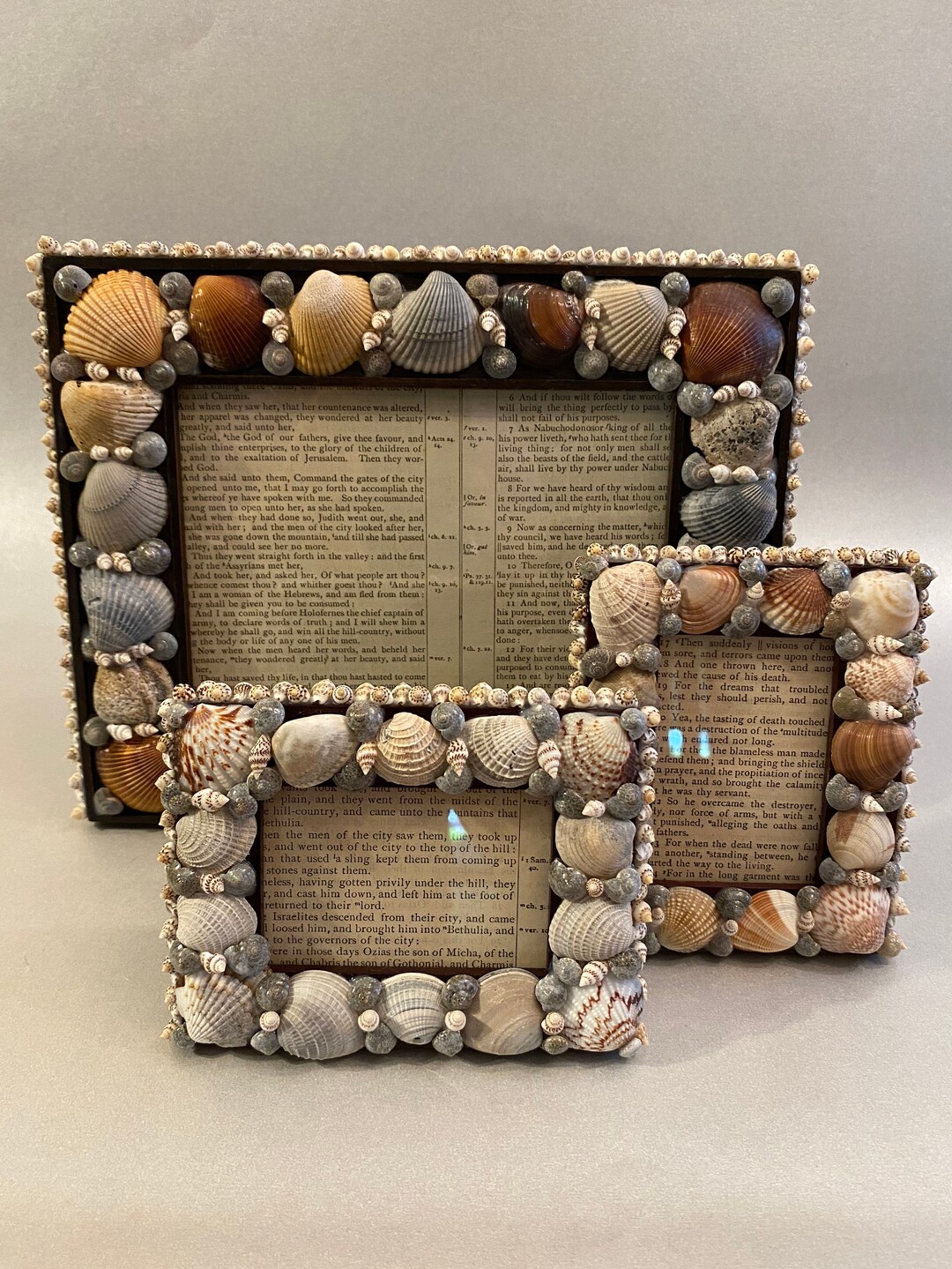 Handmade Shell Frame, One of a Kind Seashell Frame, Shell Embellished ...
