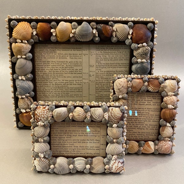Shell Embellished - Etsy