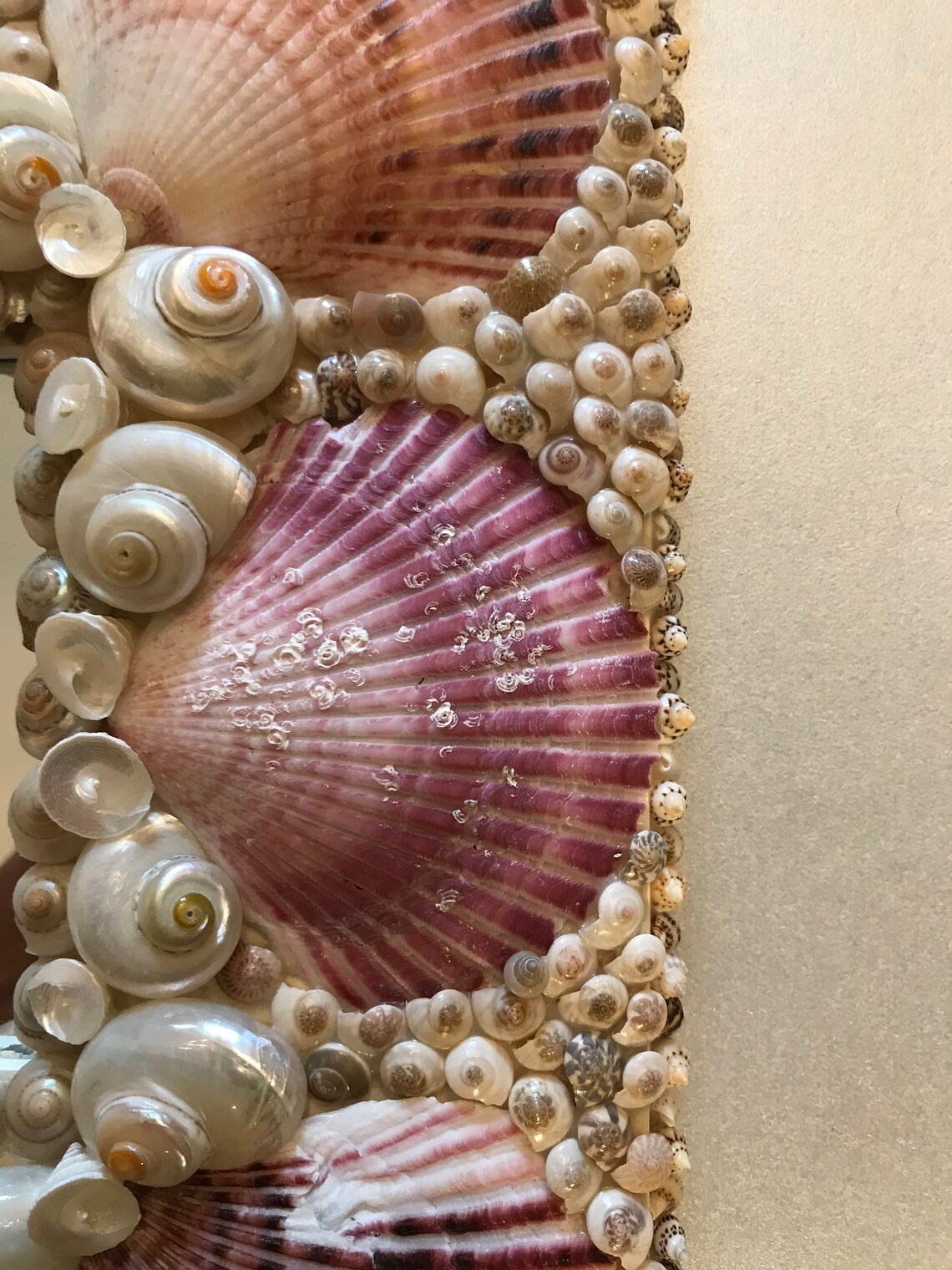 Handmade Shell Mirror Embellished Seashell Mirror | Etsy