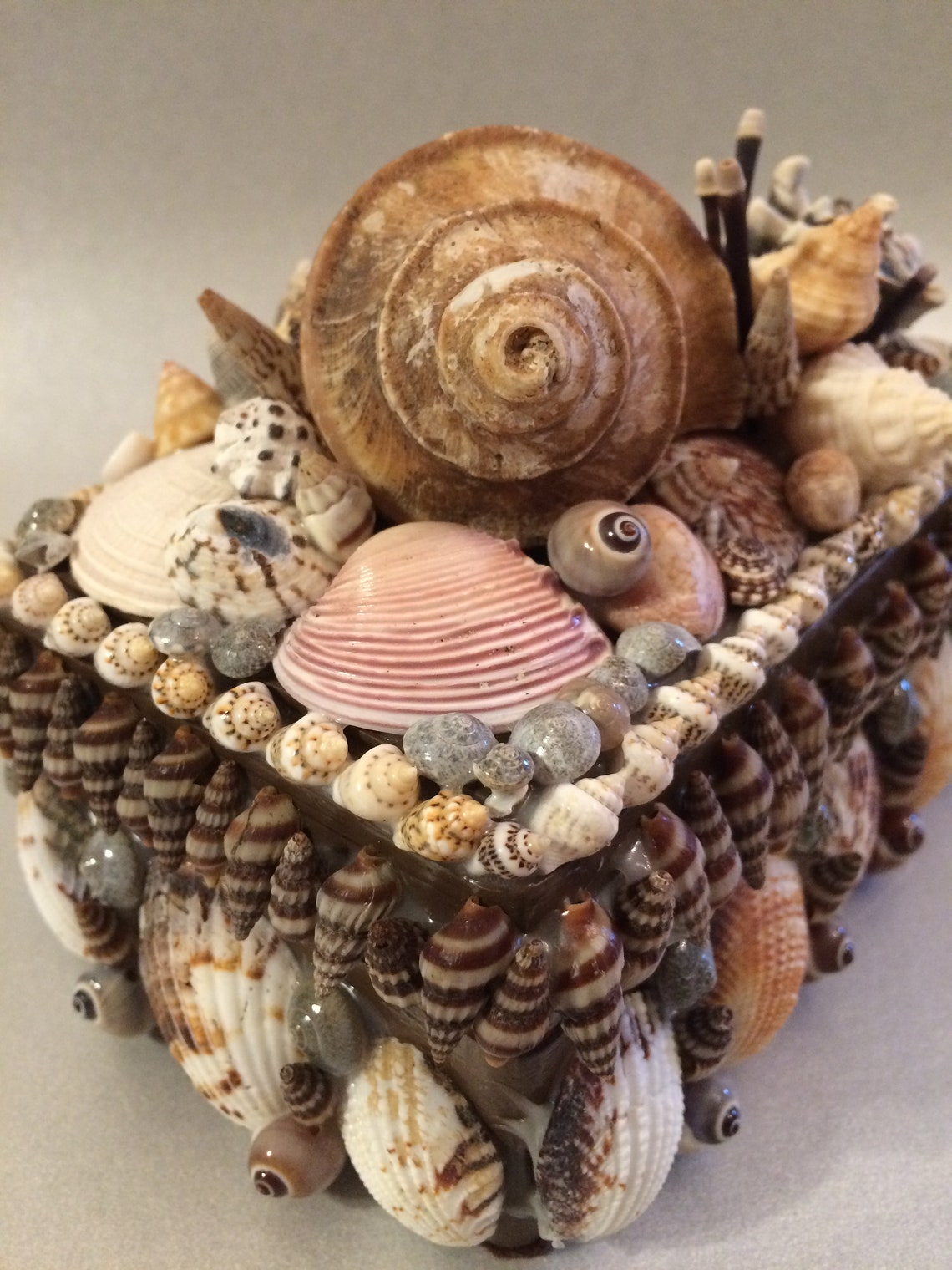 Handmade Shell Box Encrusted Seashell Box Hand Picked Shells | Etsy