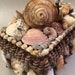 Handmade Shell Box Encrusted Seashell Box Hand Picked Shells - Etsy