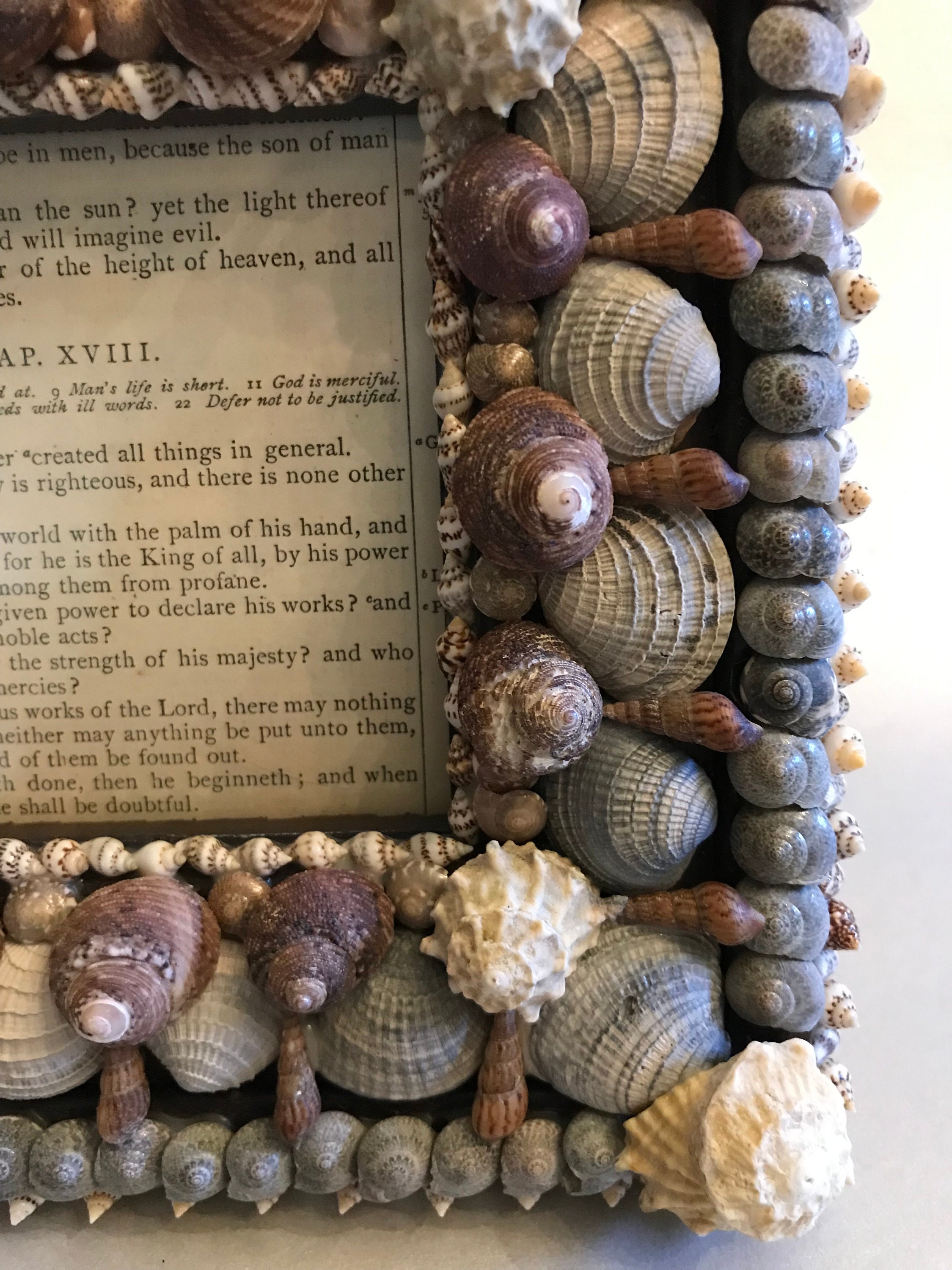 Handmade Shell Frame One of a Kind Seashell Frame - Etsy