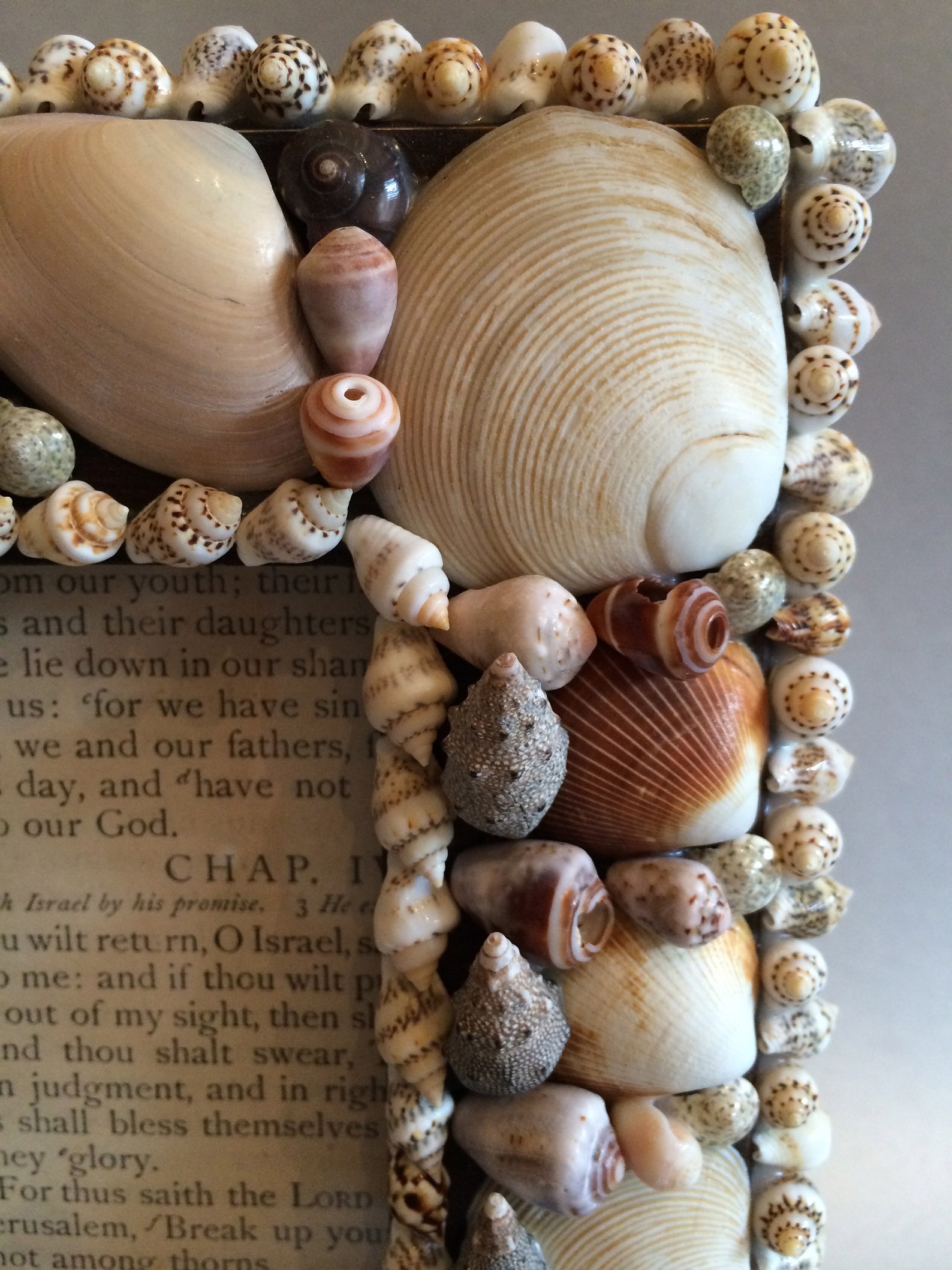Handmade Seashell Picture Frame, Shell Photo Frame - Etsy