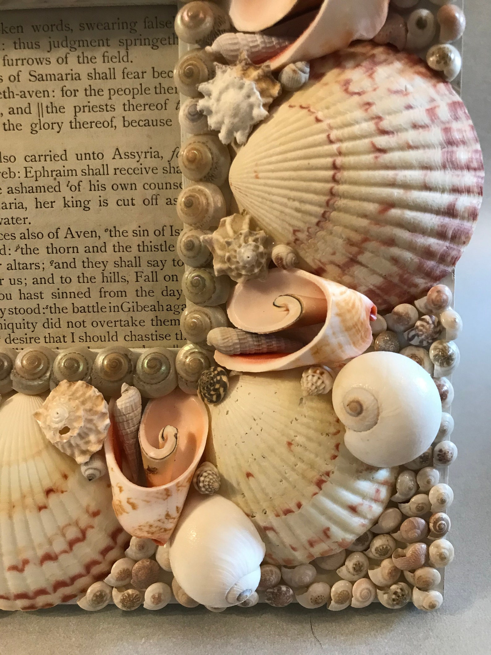 Handmade Shell Frame One of a Kind Seashell Frame | Etsy